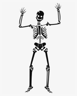 Free Skeleton Clip Art with No Background - ClipartKey