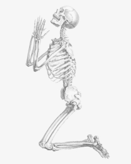 Free Skeleton Clip Art with No Background - ClipartKey