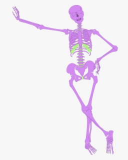 Free Skeleton Clip Art with No Background - ClipartKey