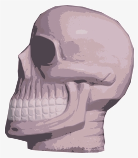 Free Skeleton Head Clip Art with No Background - ClipartKey