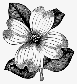 Free Mayflower Clip Art with No Background - ClipartKey