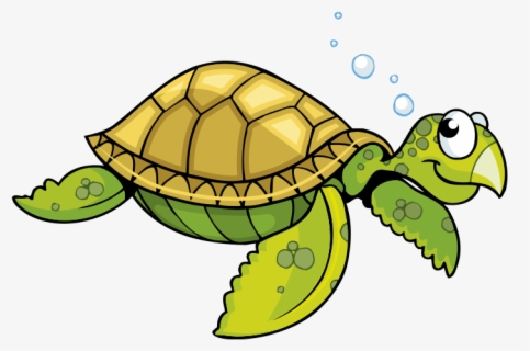 Free Turtle Clip Art with No Background - ClipartKey
