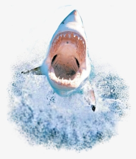Shark Attack Clip Art - Shark Open Mouth Clip Art , Free Transparent ...