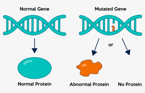Genetic Mutation Clipart , Free Transparent Clipart - ClipartKey