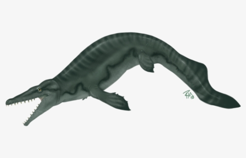 Download Transparent Mosasaurus Png - Png Mosasaurus - ClipartKey