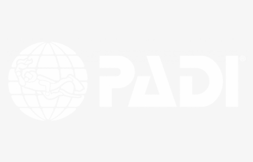 Padi Logo Png Transparent & Svg Vector - Padi Mexico Png , Free ...