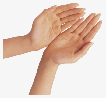 Two Png Image Pinterest - Transparent Background Hands Clipart , Free ...