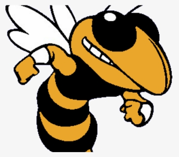 Collection Of Hornets - Cartoon Hornet , Free Transparent Clipart ...