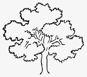 Transparent Big Tree Png - Outline Pictures Of Tree , Free Transparent ...