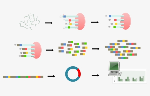 Area,text,diagram - Serial Analysis Of Gene Expression Simple , Free ...