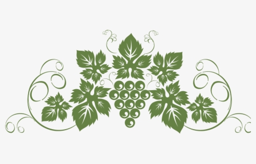 Vigne, Raisin - Transparent Background Grape Vine Png , Free ...