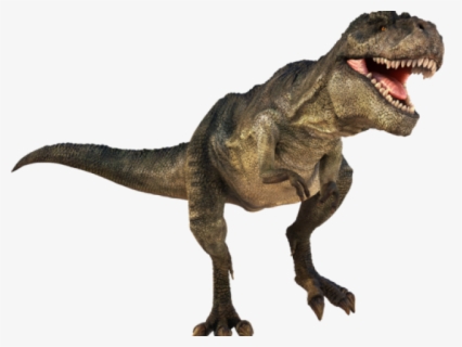 Jurassic Park Dinosaur Png High Quality Image - Jurassic Park Dinosaurs ...