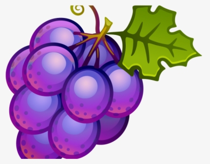 Grap Png Vector , Free Transparent Clipart - ClipartKey