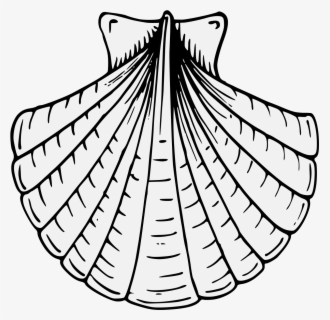 Shell Clipart Heraldic Scallop - Shell Heraldry , Free Transparent ...