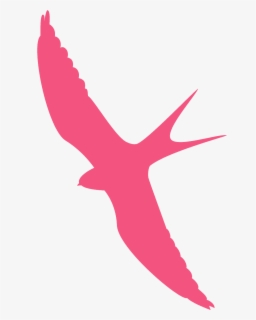 Zwaluw Contouren , Free Transparent Clipart - ClipartKey