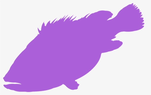 Blue Groper Clipart , Free Transparent Clipart - ClipartKey