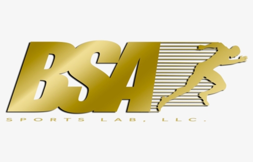 Bsa Sports Lab - Graphic Design , Free Transparent Clipart - ClipartKey
