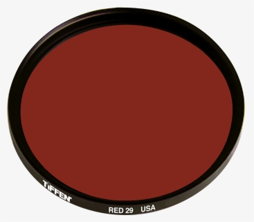 Logo Dark Logo Light Logo - Floribunda , Free Transparent Clipart ...