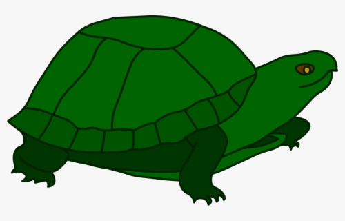 Free Tortoise Clip Art with No Background - ClipartKey