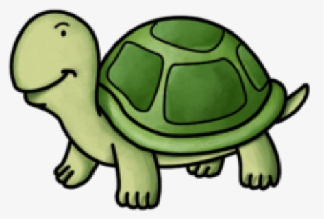 Small Cartoon Tortoise , Free Transparent Clipart - ClipartKey
