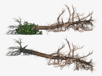 Tree Log Fallen - Cartoon Log Transparent Background , Free Transparent ...