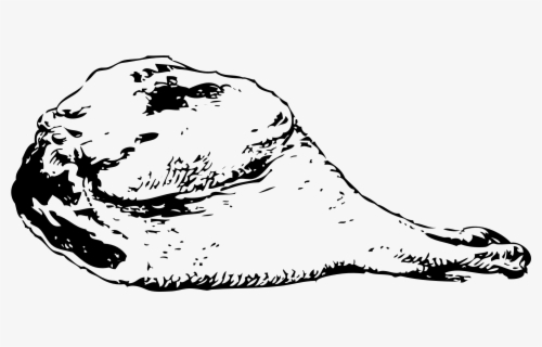 Lamb, Mutton, Leg, Meat - Draw A Lamb Leg , Free Transparent Clipart ...