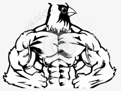 Bird Clipart Muscular - Cardinal Black And White Logo , Free ...