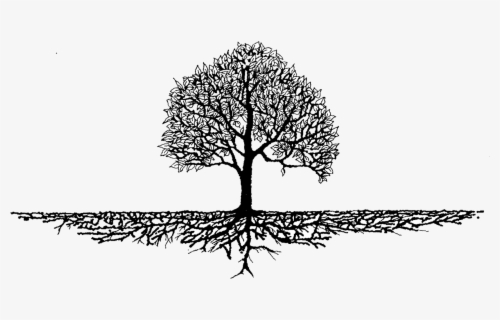 Root Cause Analysis Icon , Free Transparent Clipart - ClipartKey