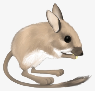 Free Rat Clip Art with No Background - ClipartKey