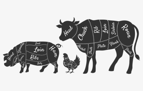 Beef Cuts Label - Pork Poster , Free Transparent Clipart - ClipartKey