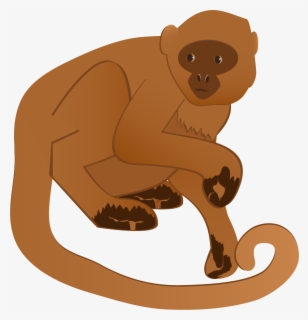 Capuchin Monkey , Free Transparent Clipart - ClipartKey