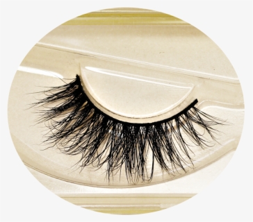 Transparent Lash Png - Eyelash Extensions , Free Transparent Clipart ...