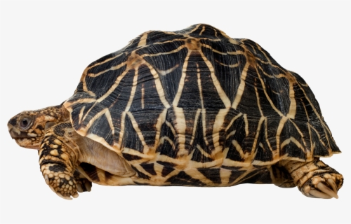 Transparent I"m Sorry Clipart - Transparent Jesus Clip Art , Free ...