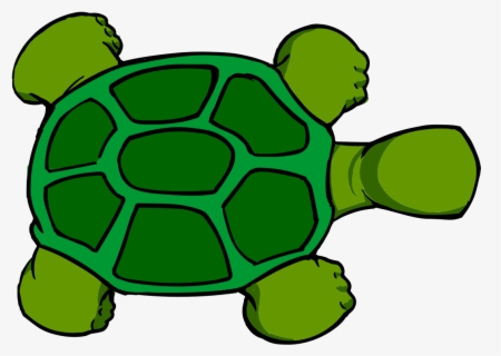 Top View Free Vector - Turtle Cartoon Top View , Free Transparent ...