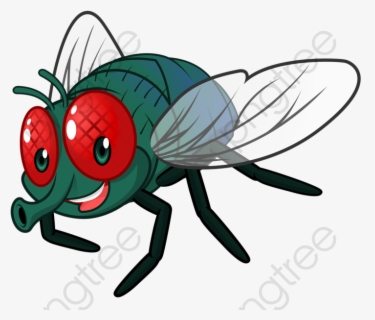 Transparent Flying Bug Png - Cute Grasshopper Cartoon Clipart , Free ...