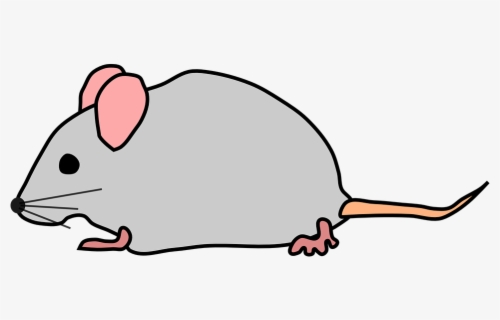 Rat Clipart Carton - Cartoon Mouse Transparent Background , Free ...