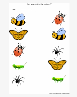 Mini Beasts Matching Pictures Worksheet - Minibeast Worksheets Early ...