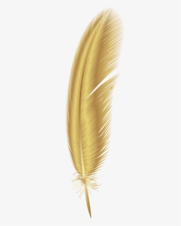 Feathers Clipart Feminine - Gold Feather Clip Art , Free Transparent ...