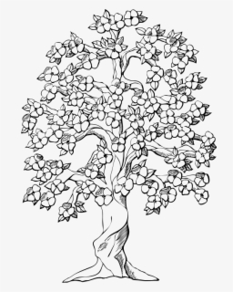 Art,symmetry,monochrome - Drawings Of Trees With Flowers , Free ...