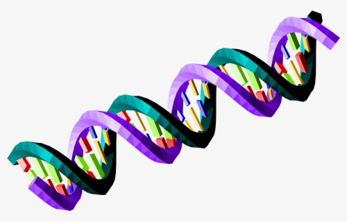 Free Dna Clip Art with No Background - ClipartKey