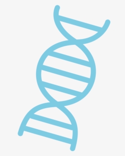Dna Sequencing Icon Png , Free Transparent Clipart - ClipartKey