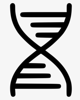 Ancestry Dna Match Icon , Free Transparent Clipart - ClipartKey