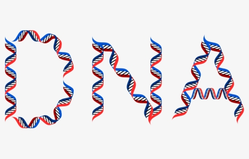 Dna Typography - Dna Font , Free Transparent Clipart - ClipartKey