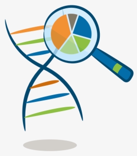 Genomics Genetic Testing Genetics Dna Free Clipart - Human Genome ...