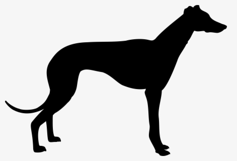 Dixie Greyhounds Clipart , Png Download - Dixie Greyhounds , Free ...
