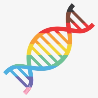 Dna Sequencing Icon Png , Free Transparent Clipart - ClipartKey