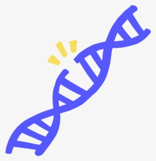 Free Dna Clip Art with No Background - ClipartKey