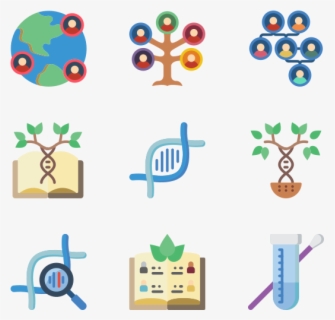 Ancestry Dna Match Icon , Free Transparent Clipart - ClipartKey
