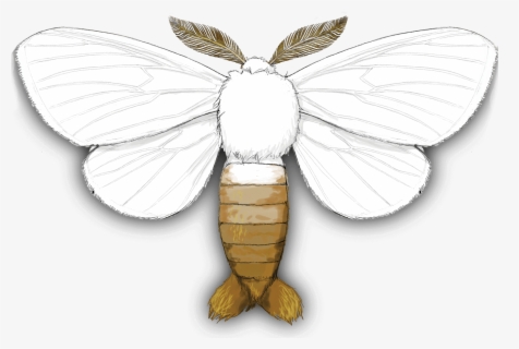 Moth Clipart Gypsy Moth - Gypsy Moth Lego Racers , Free Transparent ...