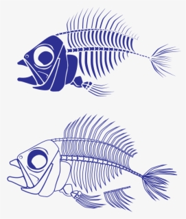 Fish Skeleton - Scary Skeleton Fish Clipart , Free Transparent Clipart ...